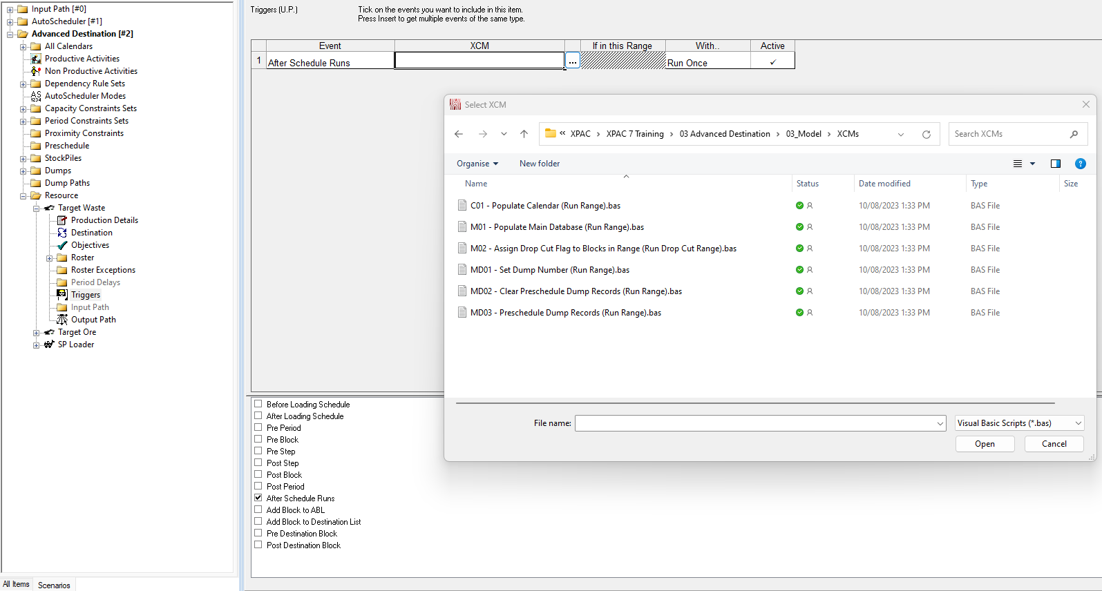 How do I enable a script to run once in XPAC after Schedule runs?