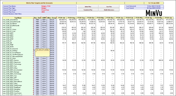 How do I enter data into MinVu Plans?